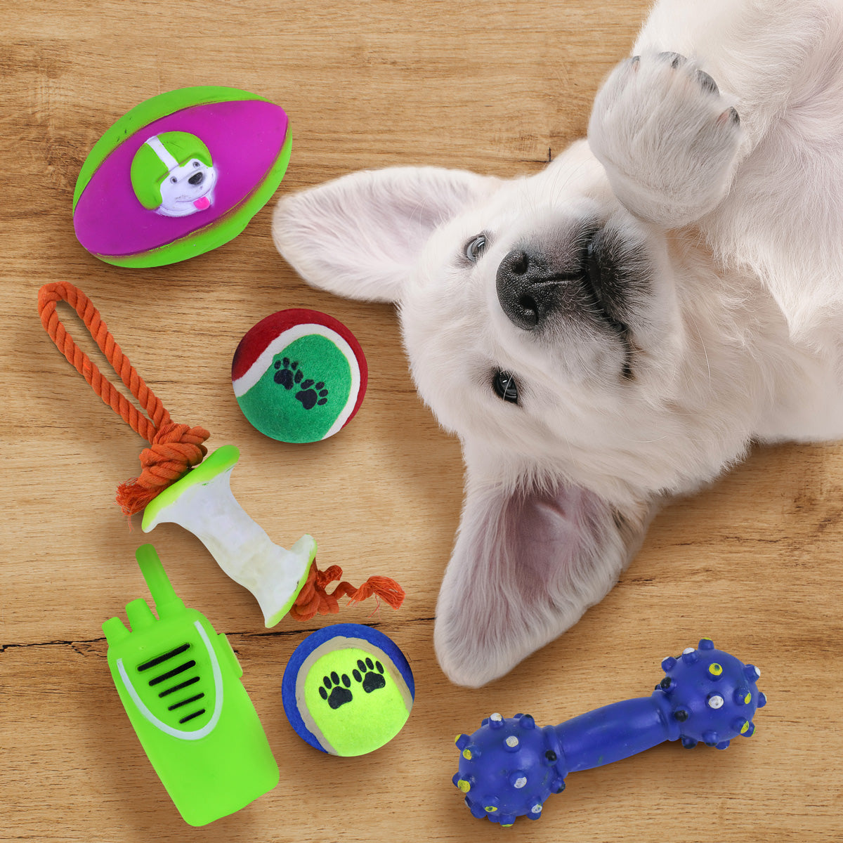 Paquete de 10 Juguetes para Mascota – Waldo's