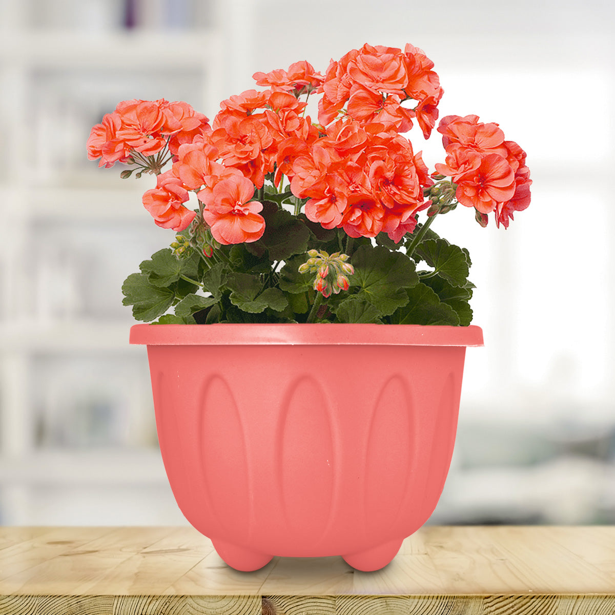 Maceta de Plástico, color Mamey 17x11.5cm – Waldo's