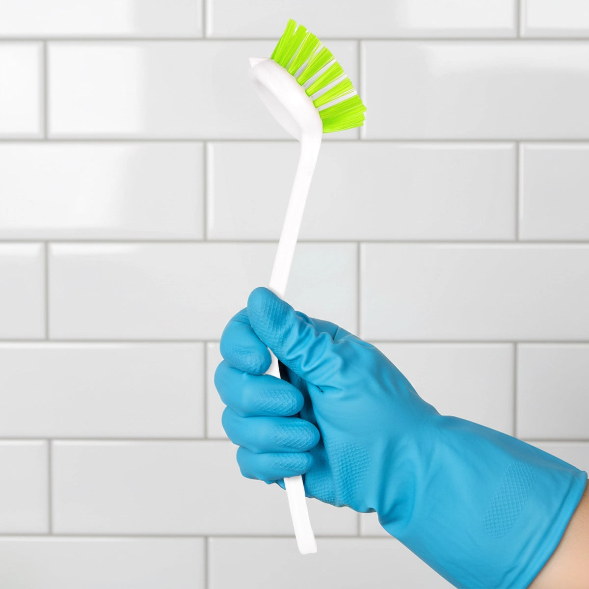 Cepillo con Mango, Color Blanco y Verde – Waldo's