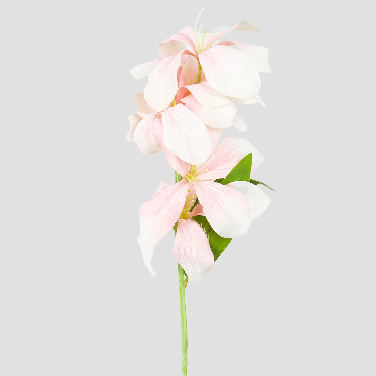 Horquidea, 6 Flores Artificiales, Color Rosa – Waldo's