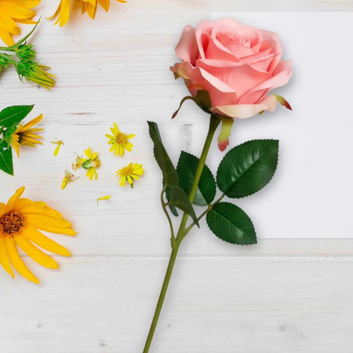 Rosa, Flor Artificial, Color Durazno – Waldo's