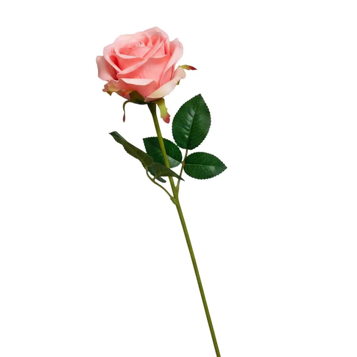 Rosa, Flor Artificial, Color Durazno – Waldo's