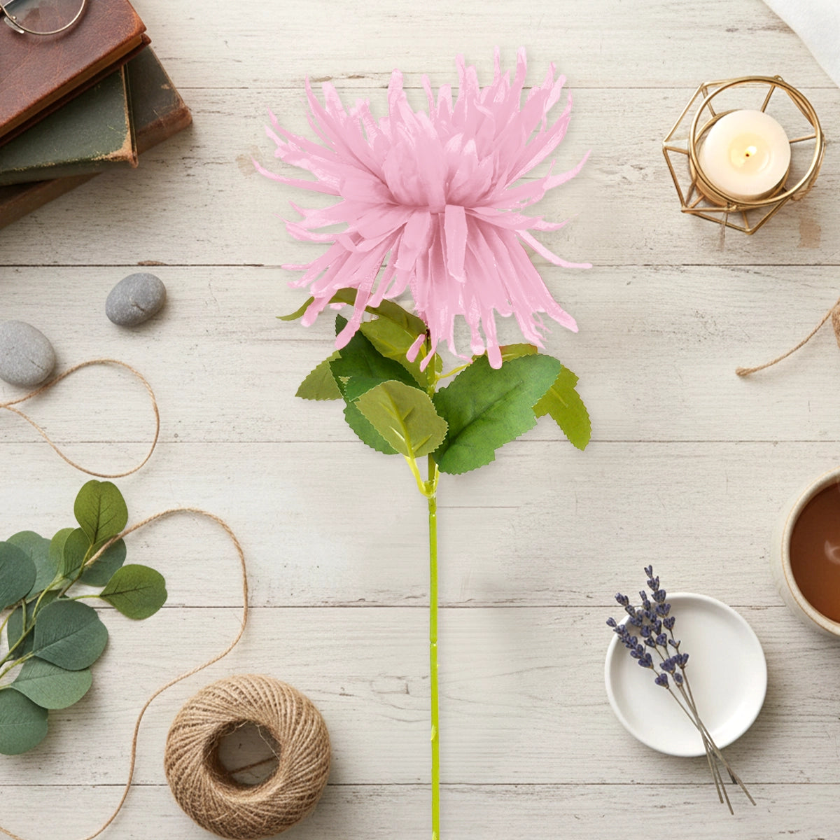 Crisantemo, Color Lila – Waldo's