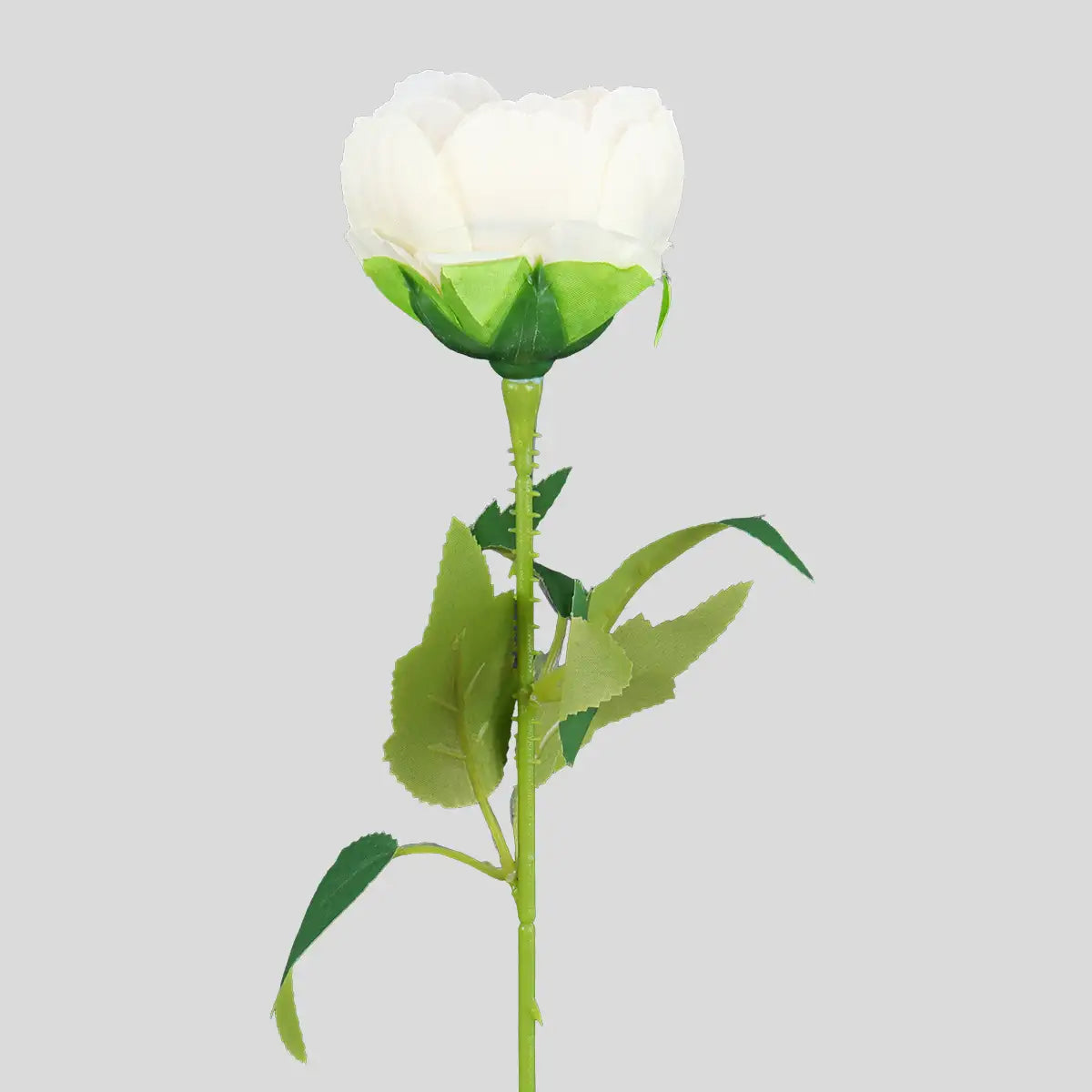 Flor Individual, Color Beige – Waldo's