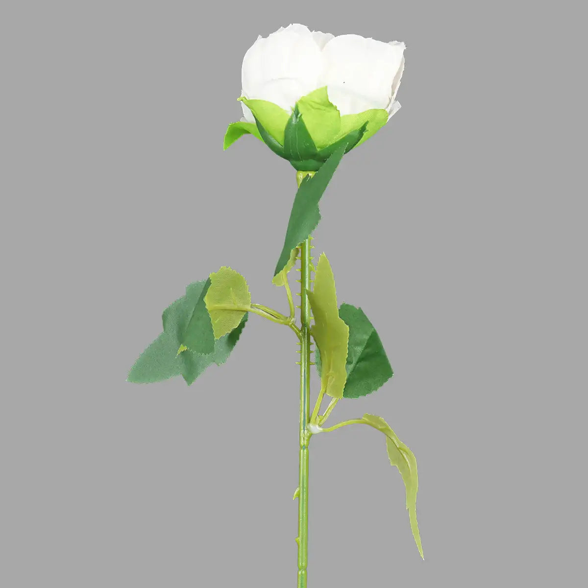 Flor Individual, Color Blanco – Waldo's