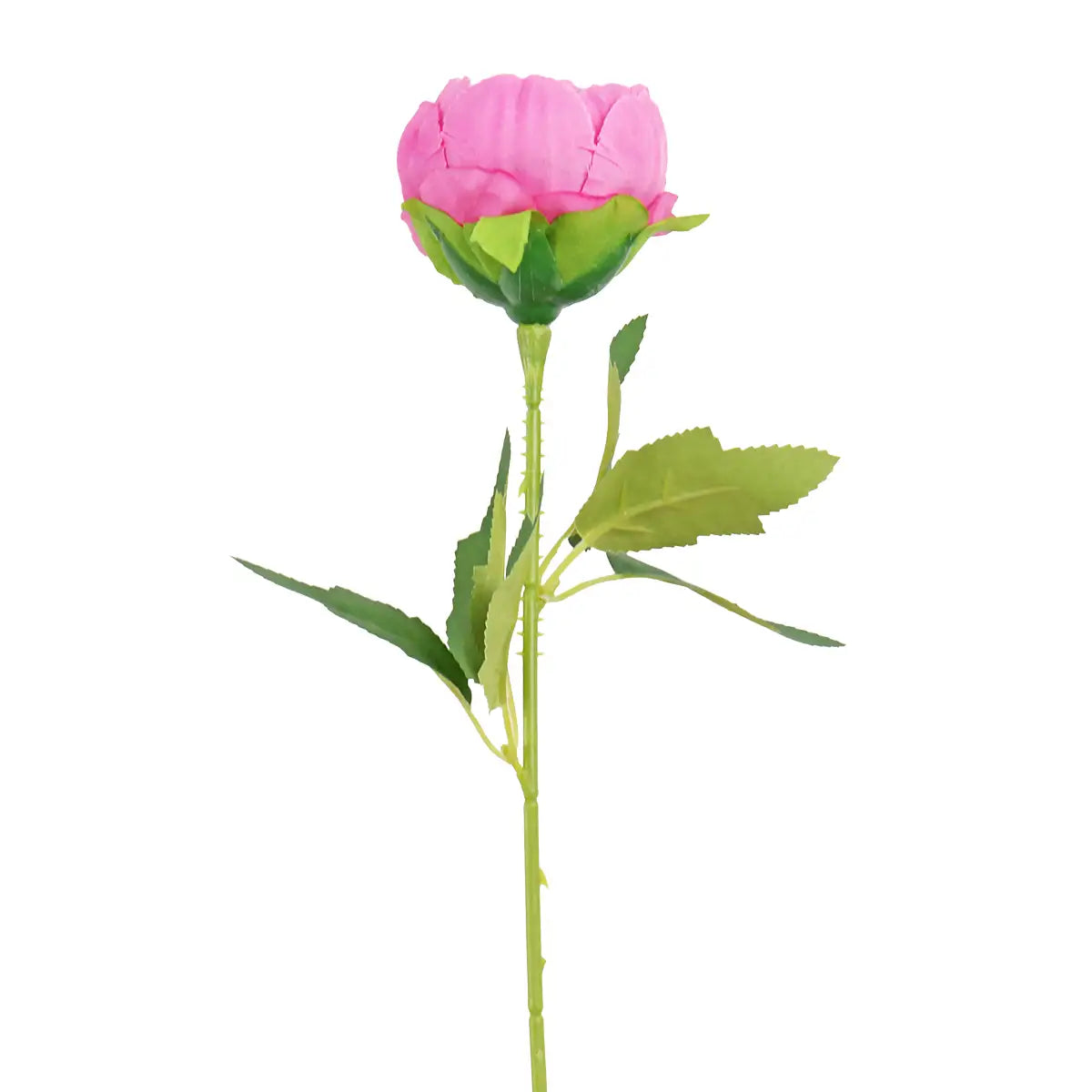 Flor Individual, Color Rosa – Waldo's