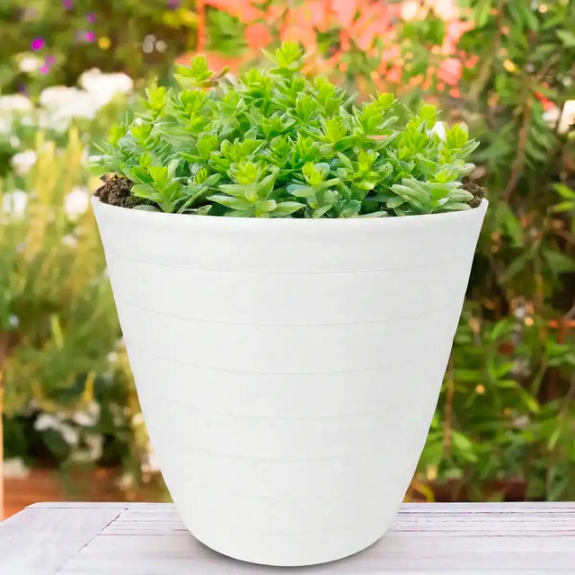 Maceta de Plástico Grande, Color Crema – Waldo's