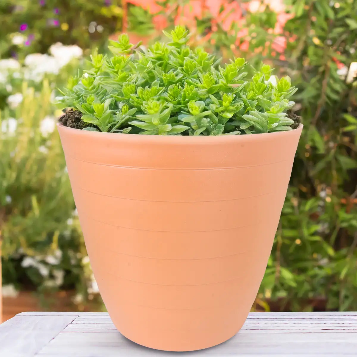 Maceta de Plástico Grande, Color Amarillo – Waldo's