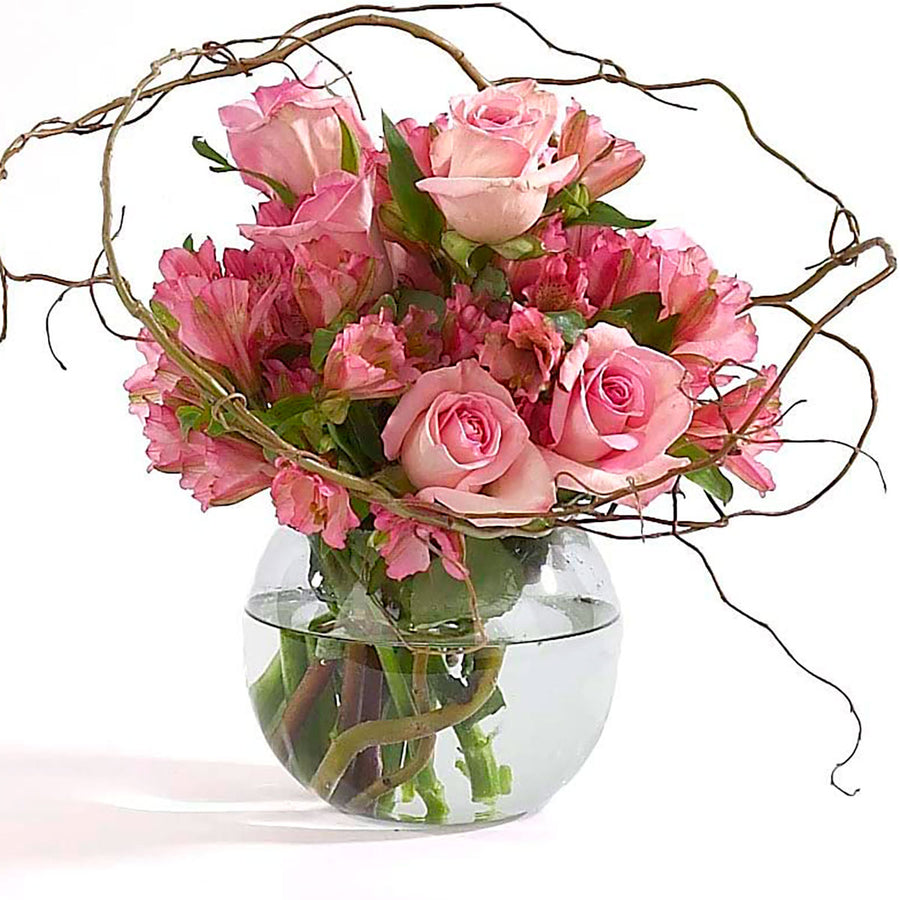 Pecera de Cristal Redonda Elegante – Waldo's