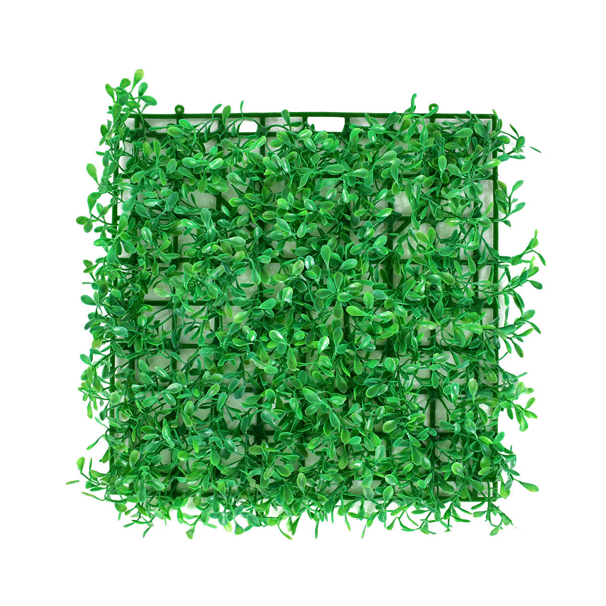 Pasto Artificial Decorativo – Waldo's